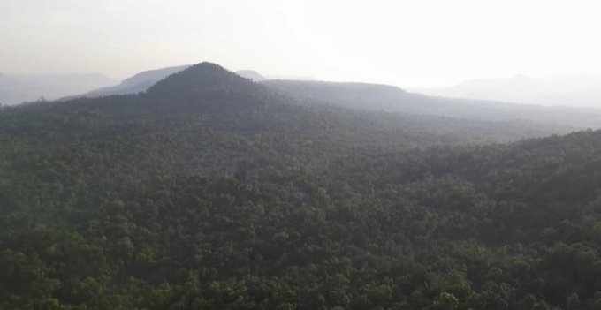 Couverture médiatique du One Forest Summit en partenariat avec ...